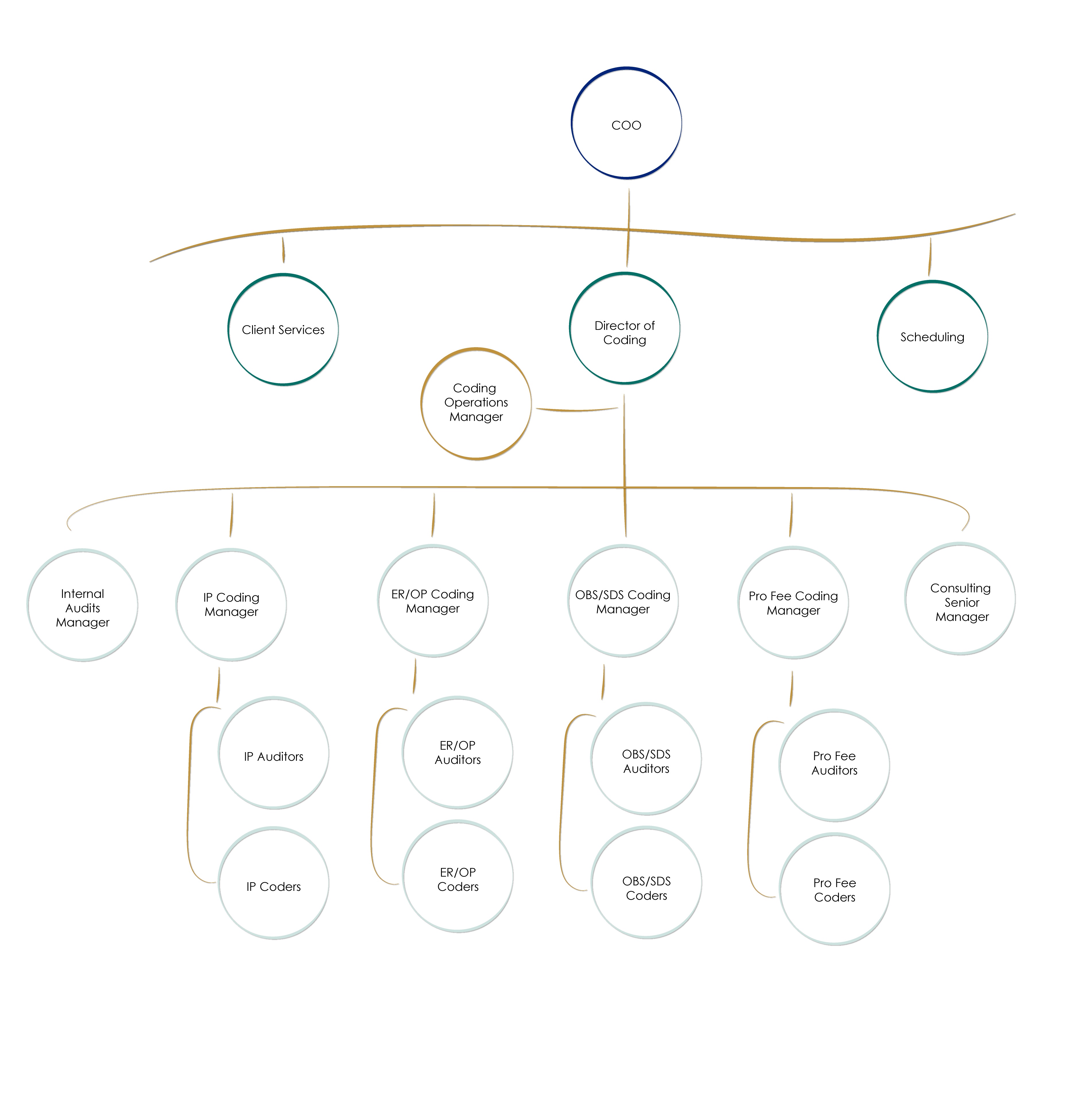 HCCS Healthcare Coding and Consulting Services